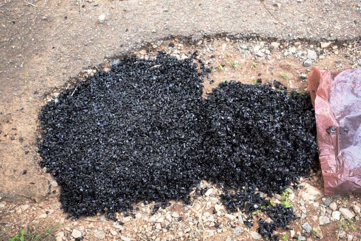What Kind of Asphalt Filler Is Best for Cold Climates? - Cassidy Paving