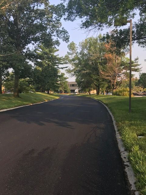 Why Keeping Up with Park Paving Is Essential Year Round - Cassidy Paving